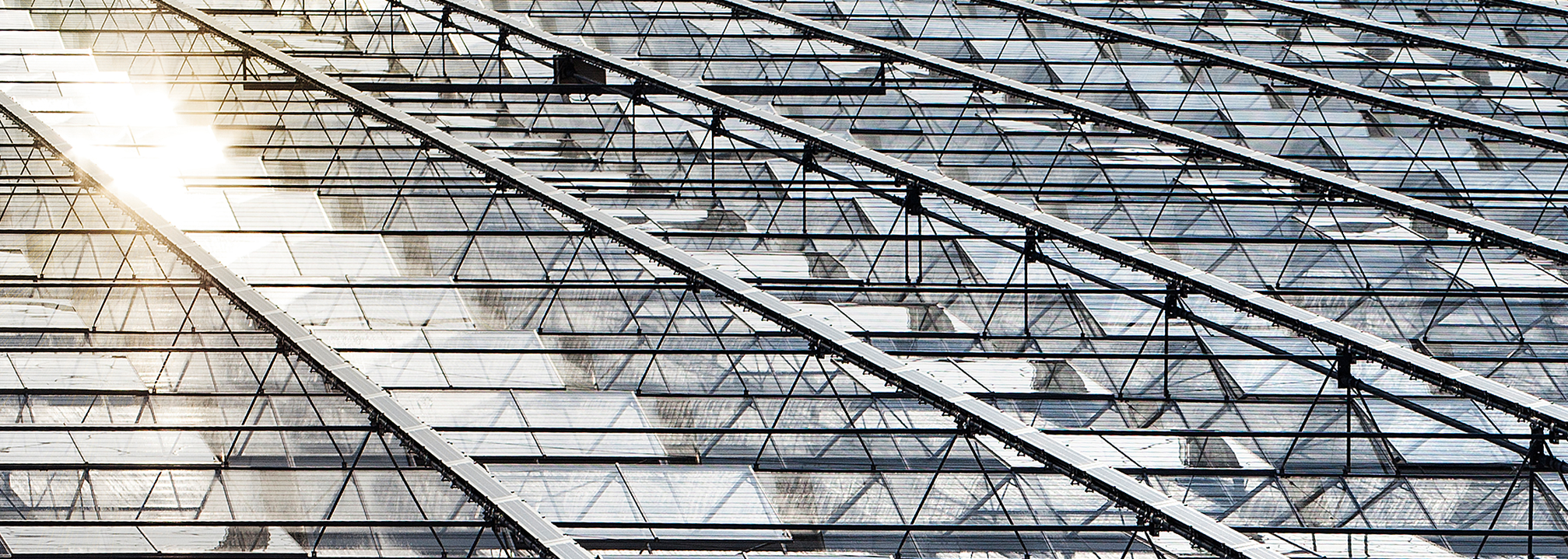 ValkGreenTop | Improve climate control in greenhouses with outer ...